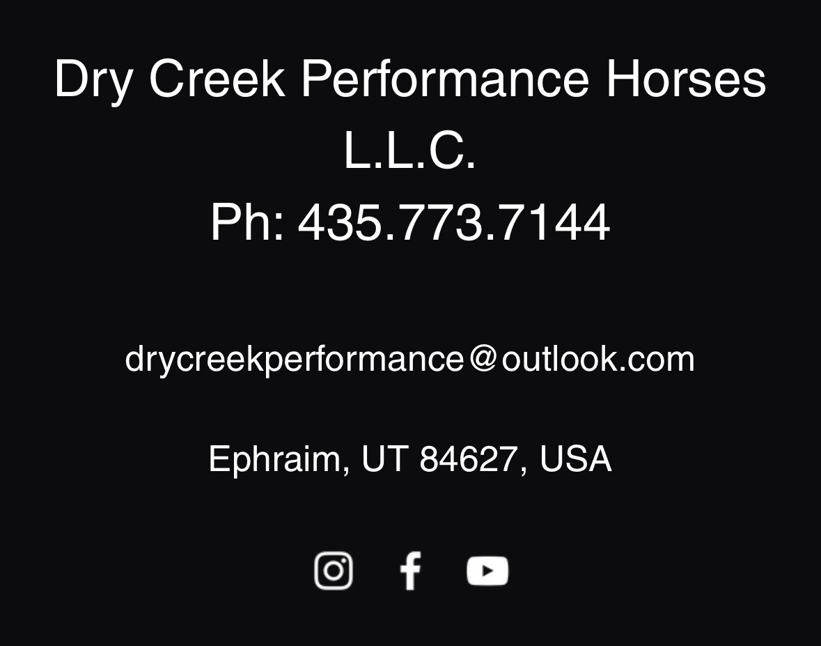 Dog and Pony – Barrel Race