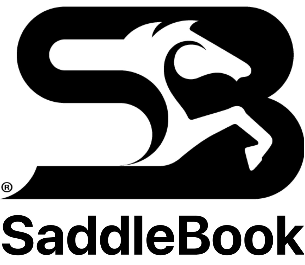 Results – Dog and Pony